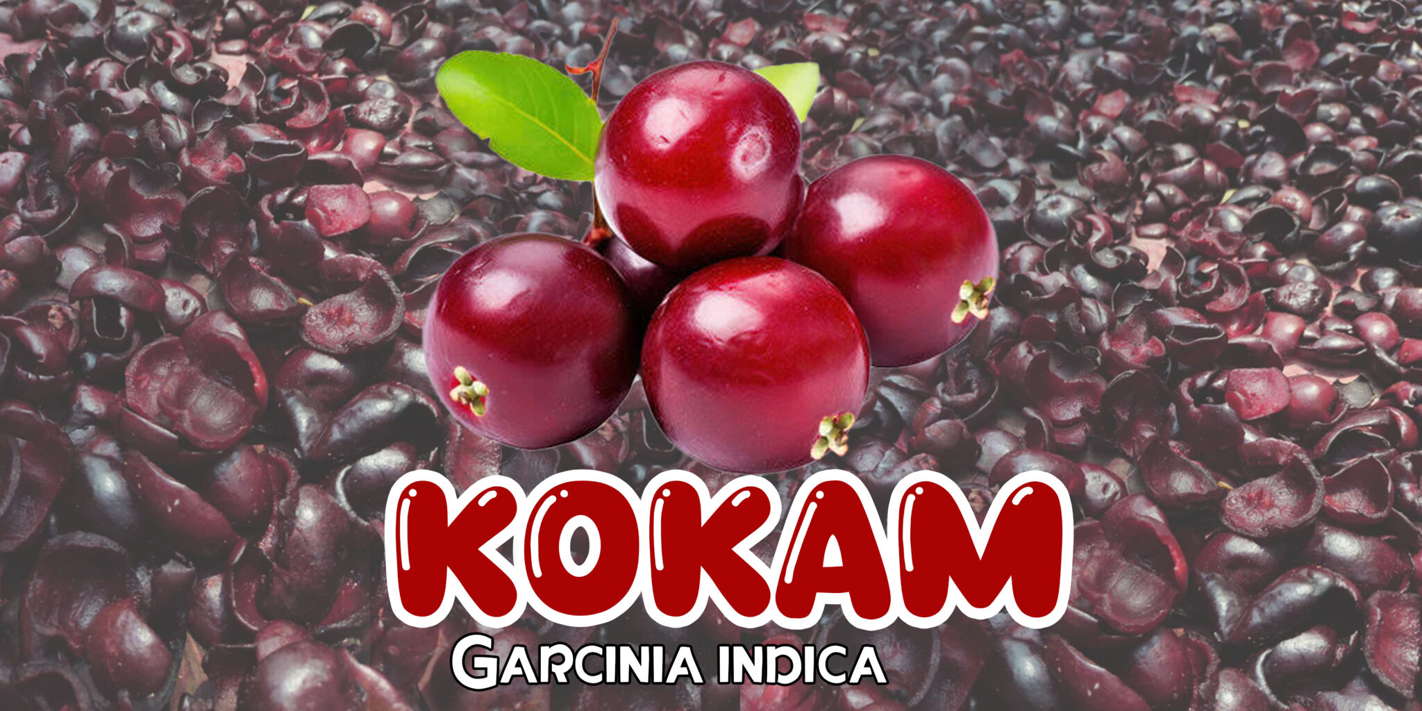 Kokam (Garcinia indica) - Chandrarajfoods.com