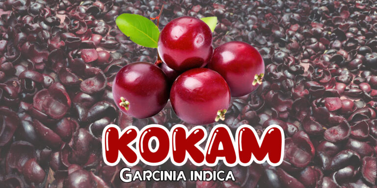 Kokam (Garcinia indica) - Chandrarajfoods.com